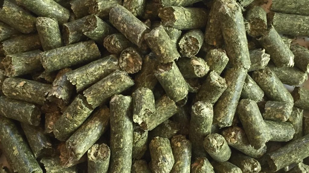 Mountain Sunrise – Alfalfa/Bermuda Hay Pellet – Agape Distributors