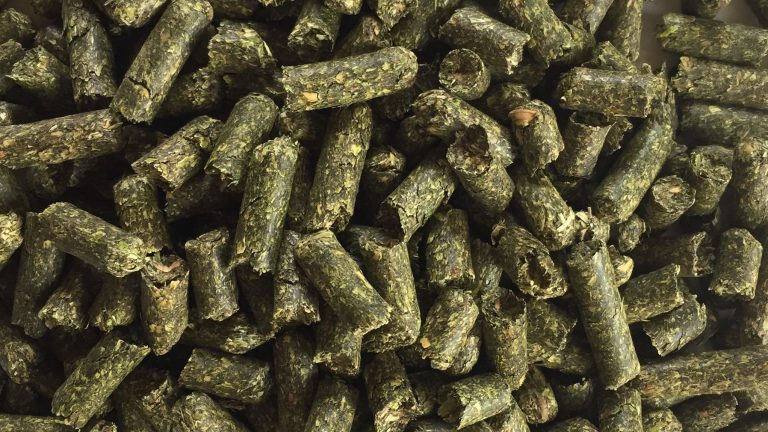 Mountain Sunrise – Alfalfa/Timothy Hay Pellet – Agape Distributors