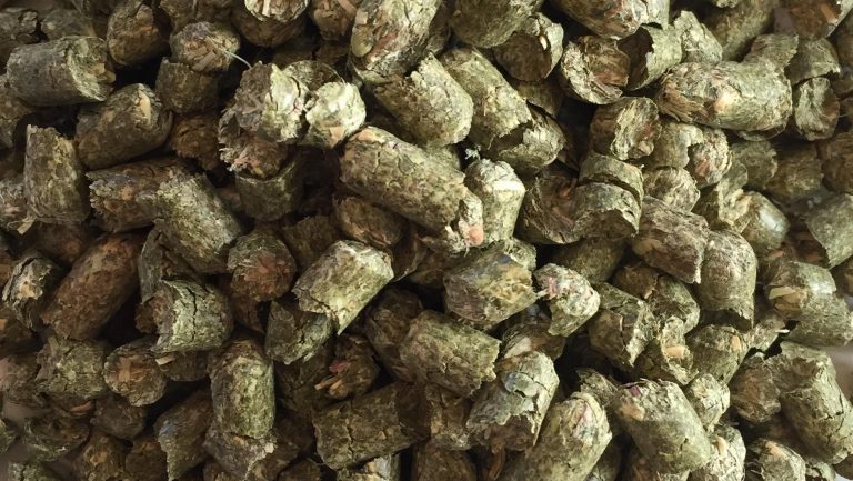 non gmo hay pellets – Agape Distributors