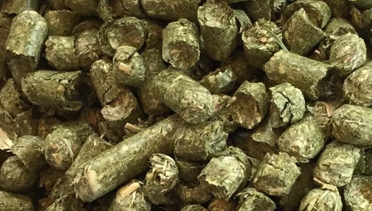 Mountain Sunrise – Bermuda Plus Hay Pellet – Agape Distributors