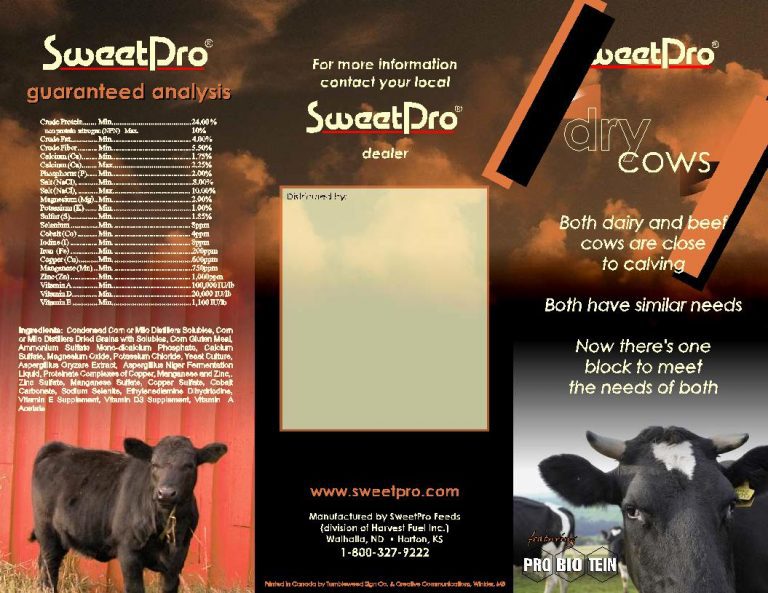 SweetPro – Dry Cow (Calver-Breeder) (Garlic Option Available) – Agape ...