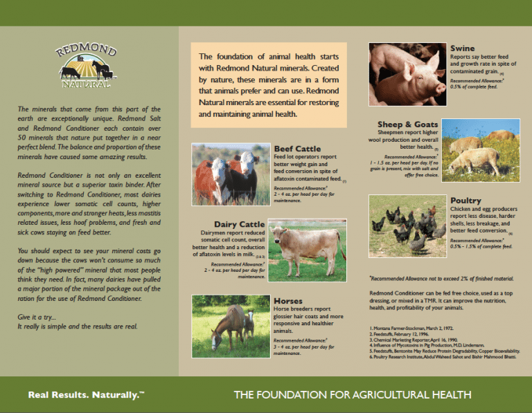 Redmond – Conditioner – Agape Distributors