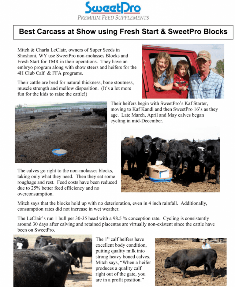 Cattle: LeClair Success Story with SweetPro Blocks, Fresh Start – Agape ...