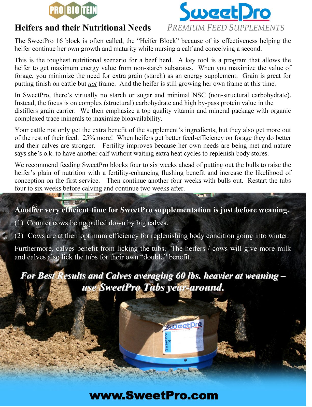 Cattle: Heifers and their Nutritional Needs – Agape Distributors