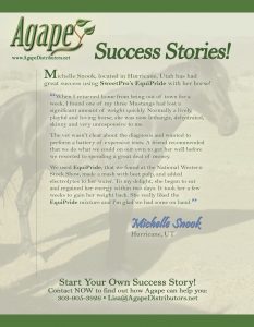 Horses: Michelle Snook Success Story – Agape Distributors