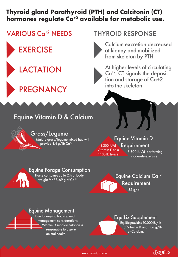 Calcium Facts – Agape Distributors